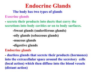 The Endocrine System classifications and functions of all ductless ...