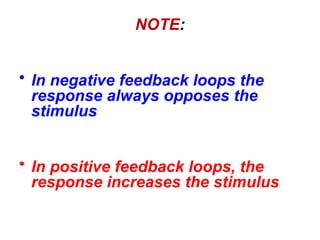 The Endocrine System classifications and functions of all ductless ...
