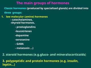The Endocrine System classifications and functions of all ductless ...
