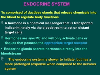 The Endocrine System classifications and functions of all ductless ...