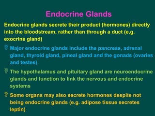 The Endocrine System classifications and functions of all ductless ...