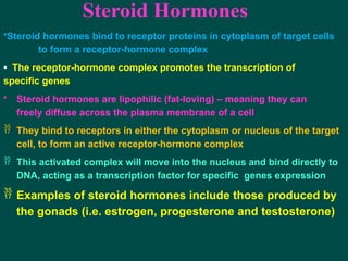 The Endocrine System classifications and functions of all ductless ...