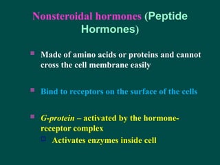 The Endocrine System classifications and functions of all ductless ...