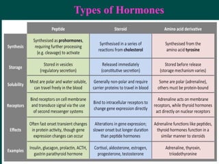 The Endocrine System classifications and functions of all ductless ...