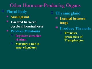 The Endocrine System classifications and functions of all ductless ...