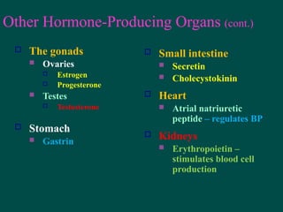 The Endocrine System classifications and functions of all ductless ...