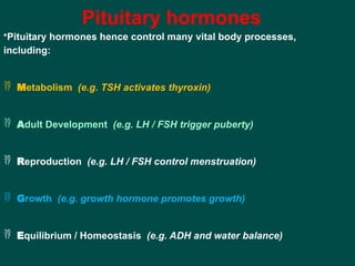 The Endocrine System classifications and functions of all ductless ...