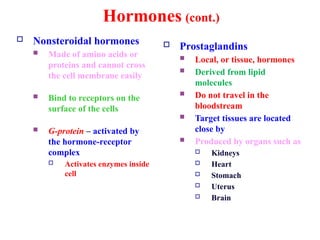 The Endocrine System classifications and functions of all ductless ...