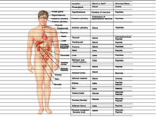 The Endocrine System classifications and functions of all ductless ...