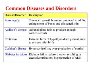 The Endocrine System classifications and functions of all ductless ...