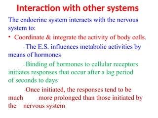 The Endocrine System classifications and functions of all ductless ...