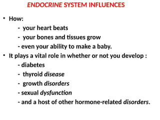 The Endocrine System classifications and functions of all ductless ...
