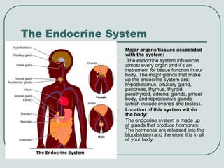 The endocrine system body manual | PPTX