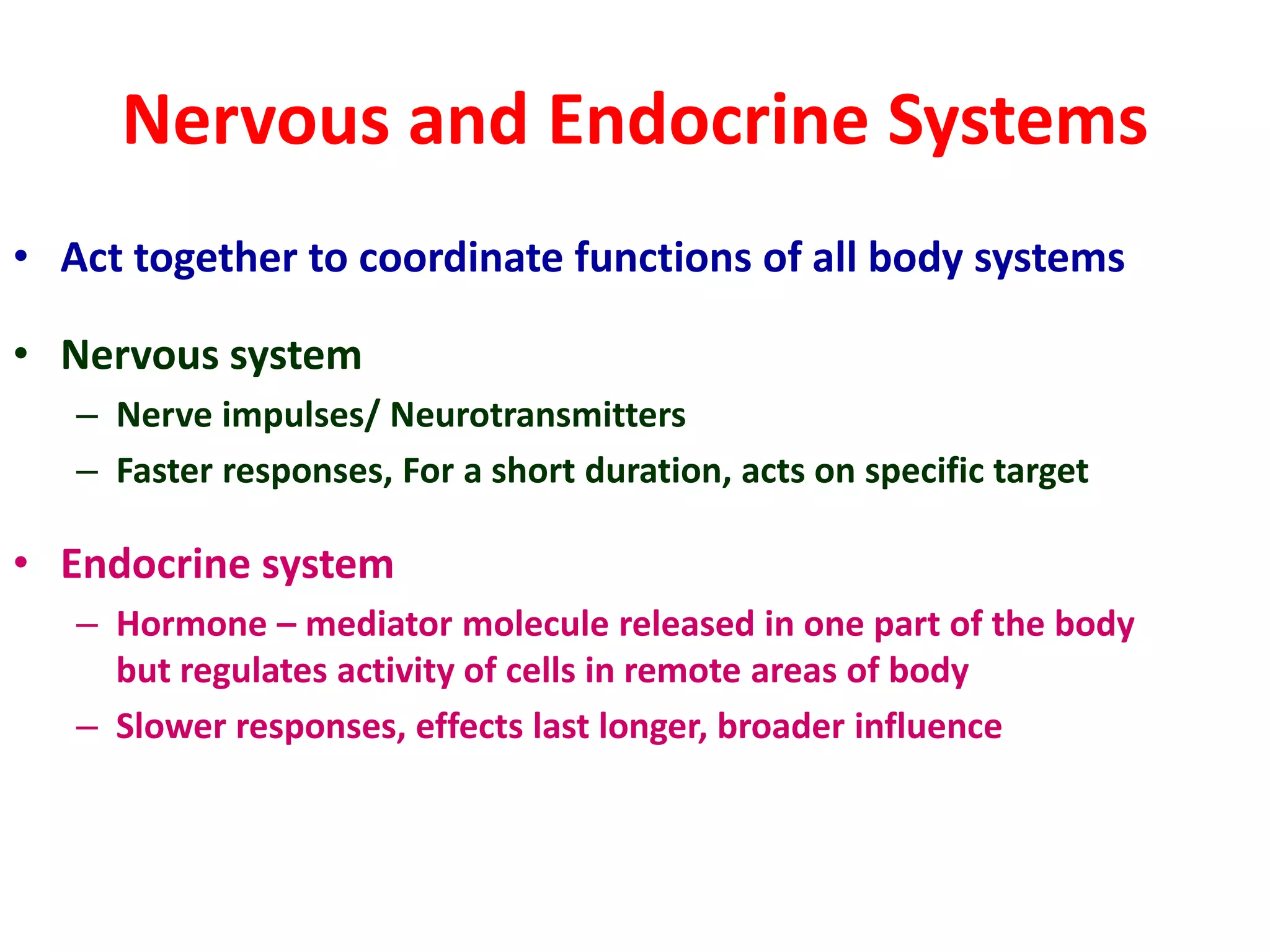 The endocrine system introduction | PPTX