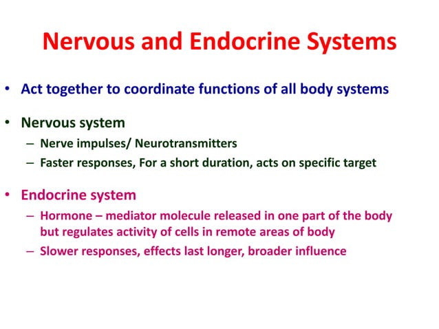 The endocrine system introduction | PPT
