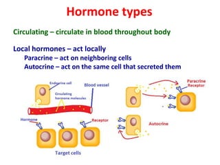 The endocrine system introduction | PPT