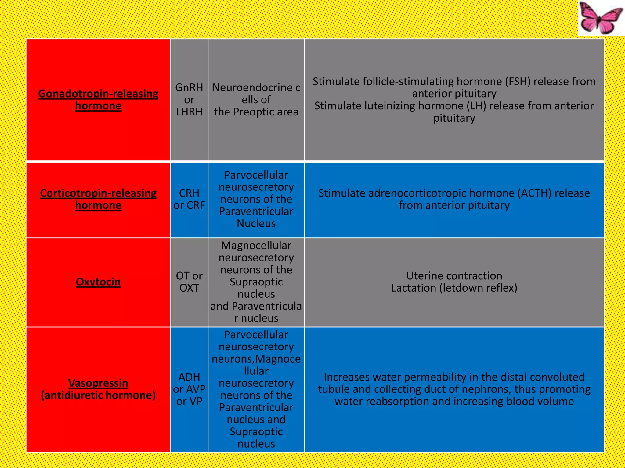 THE ENDOCRINE SYSTEM | PPTX | Endocrine and Metabolic Diseases ...