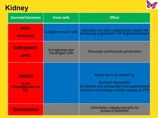 THE ENDOCRINE SYSTEM | PPTX