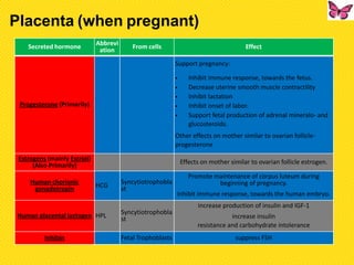 THE ENDOCRINE SYSTEM | PPTX