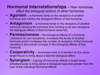 The endocrine system2 | PPT