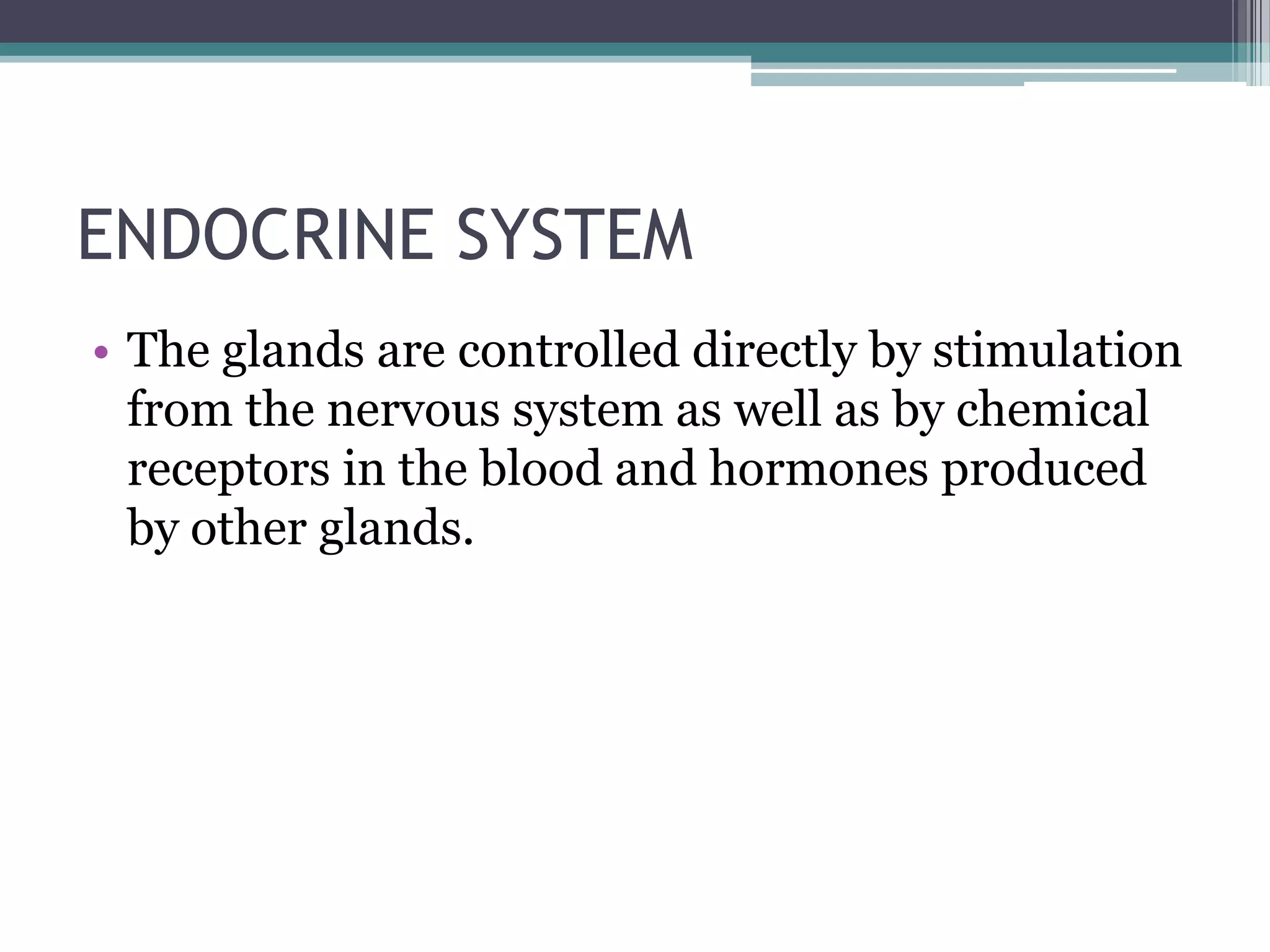 The endocrine system and the Senses | PPTX
