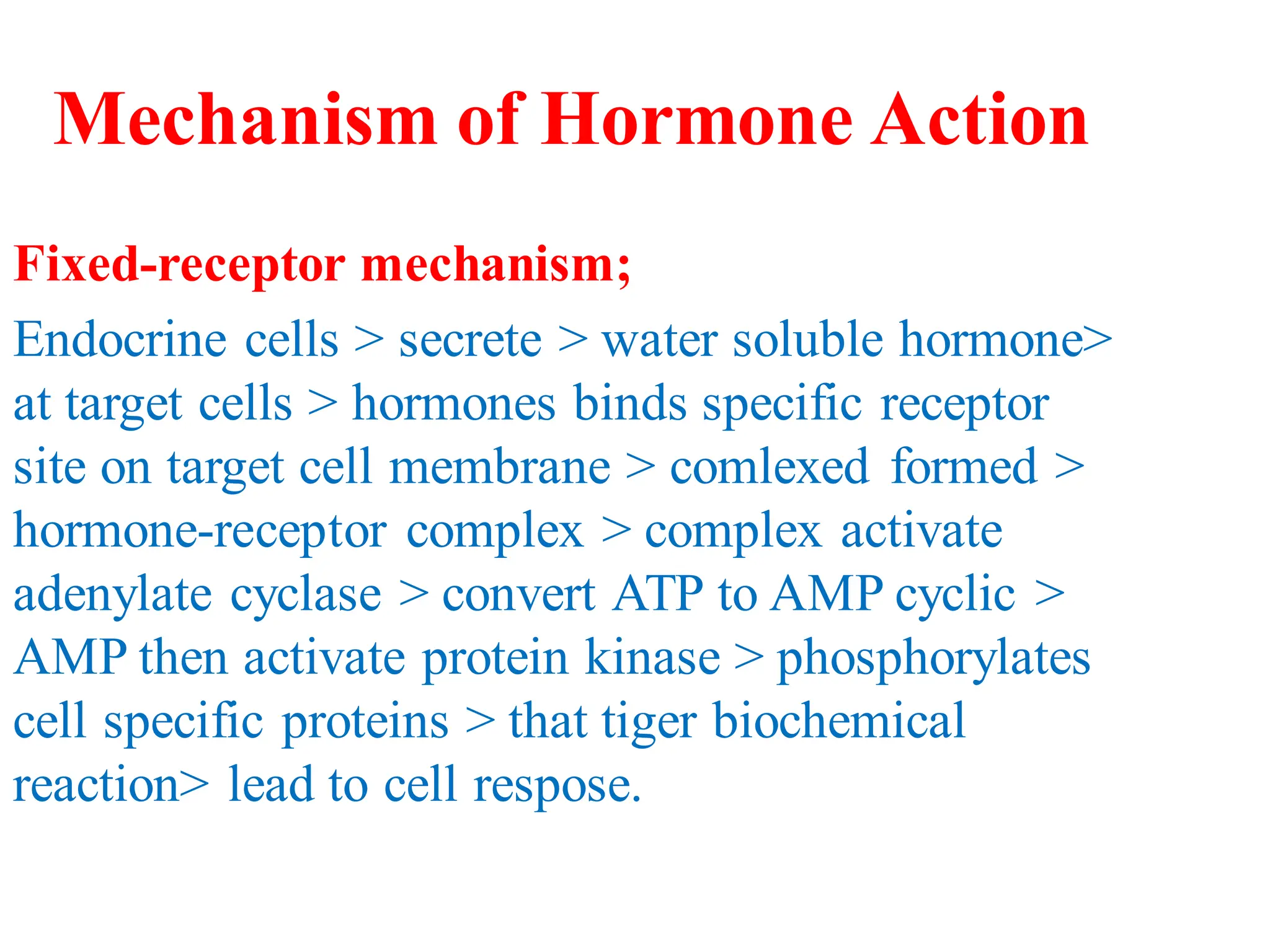 The Endocrine System and Chemical Messenger.pdf