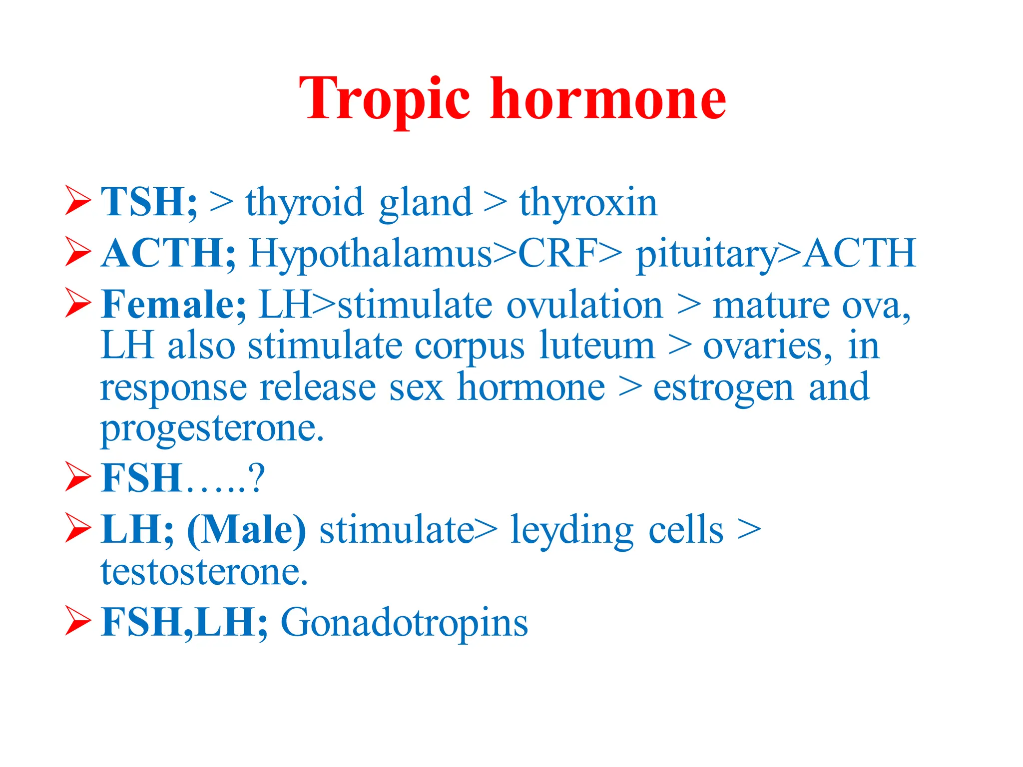 The Endocrine System and Chemical Messenger.pdf