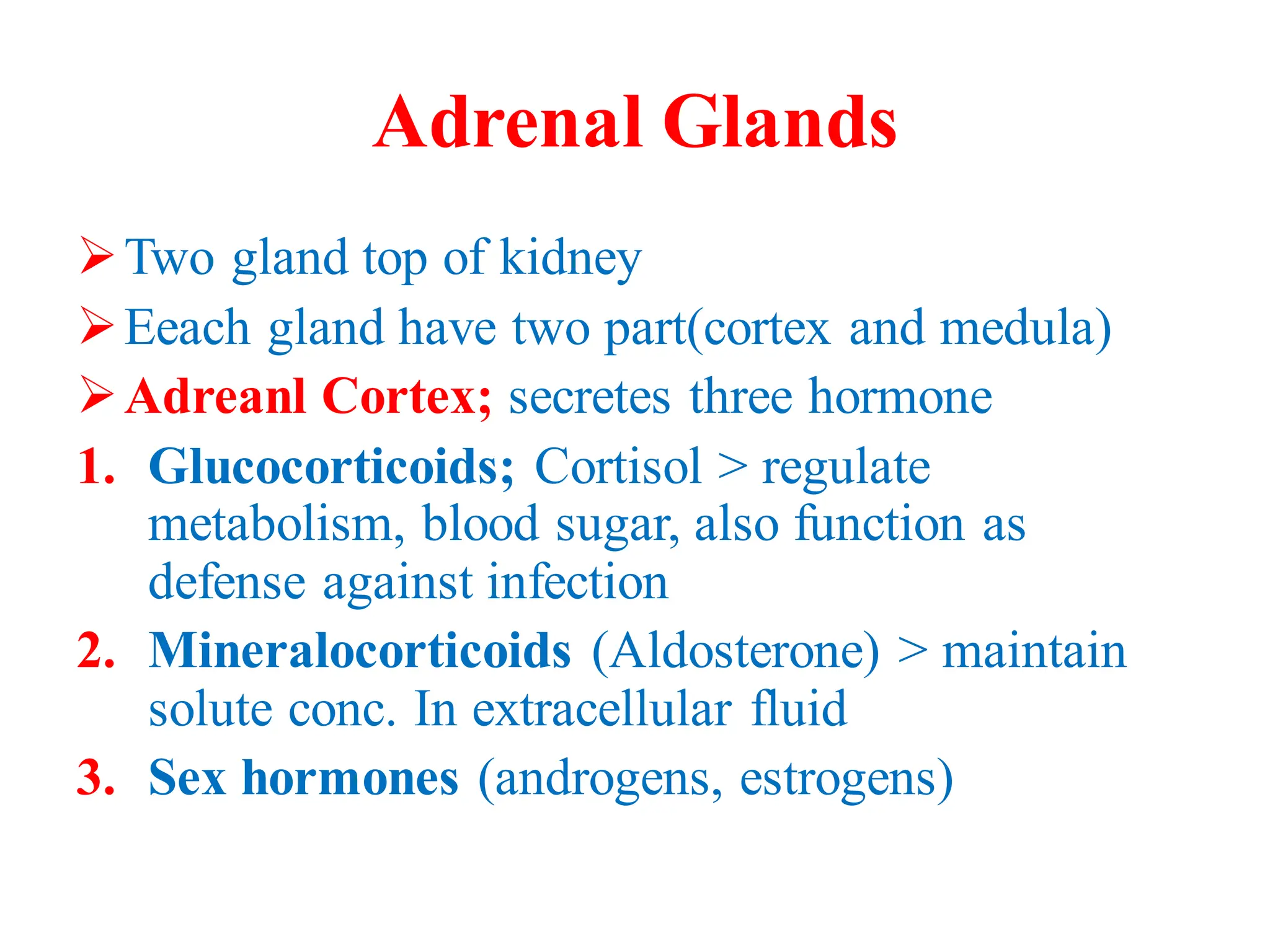 The Endocrine System and Chemical Messenger.pdf