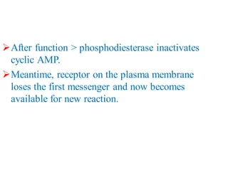 The Endocrine System and Chemical Messenger.pdf