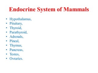 The Endocrine System and Chemical Messenger.pdf