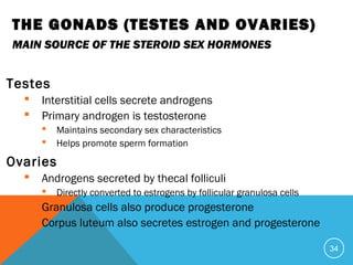 The endocrine system by dr. armaan singh | PPT