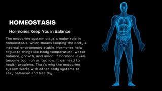 The Endocrine System Education Presentation Blue Animated Style.pdf