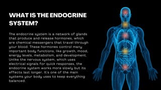 The Endocrine System Education Presentation Blue Animated Style.pdf