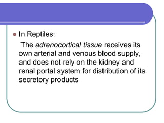 The endocrine system final | PPTX