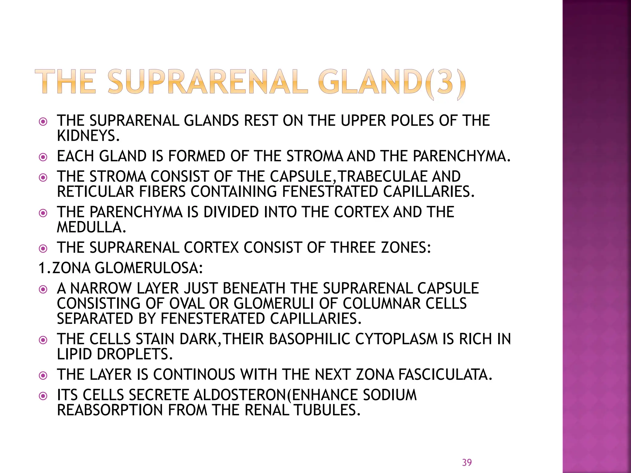 ENDOCRINE SYSTEM HISTOLOGY FOR MEDICAL STUDENT IN DETAIL PDF | PDF