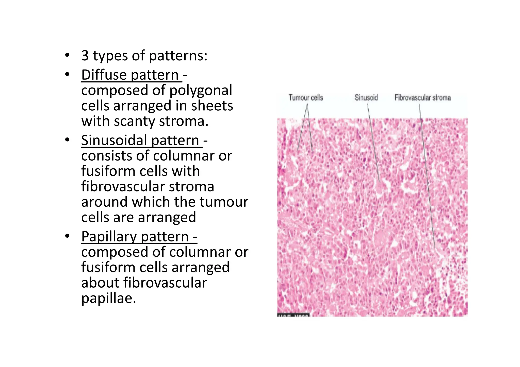 The Endocrine System pathology and anatomy | PDF