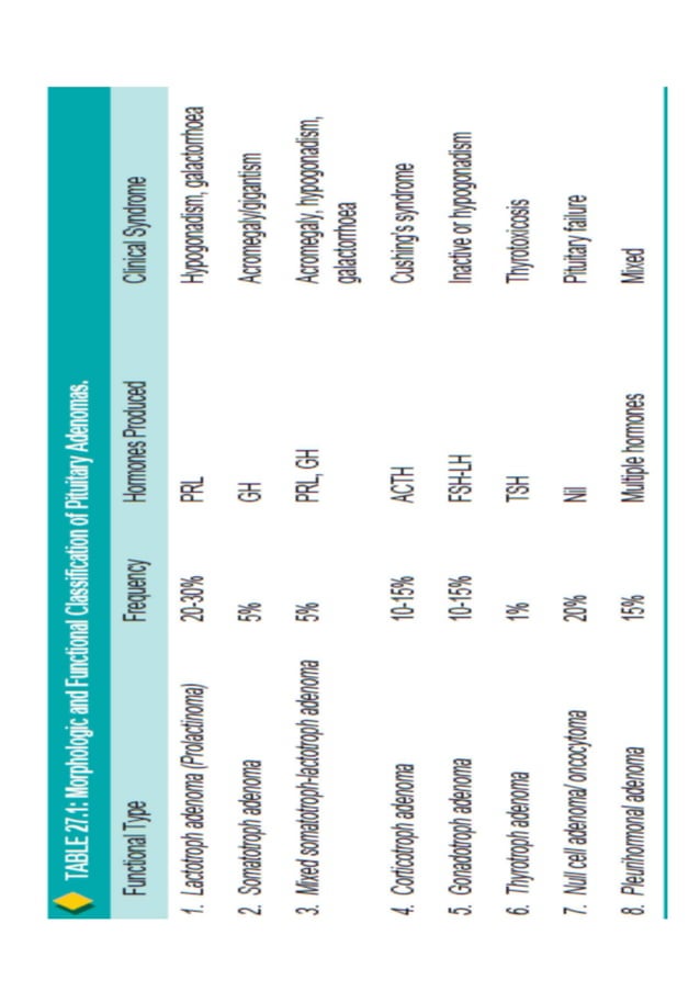 The Endocrine System pathology and anatomy | PPT