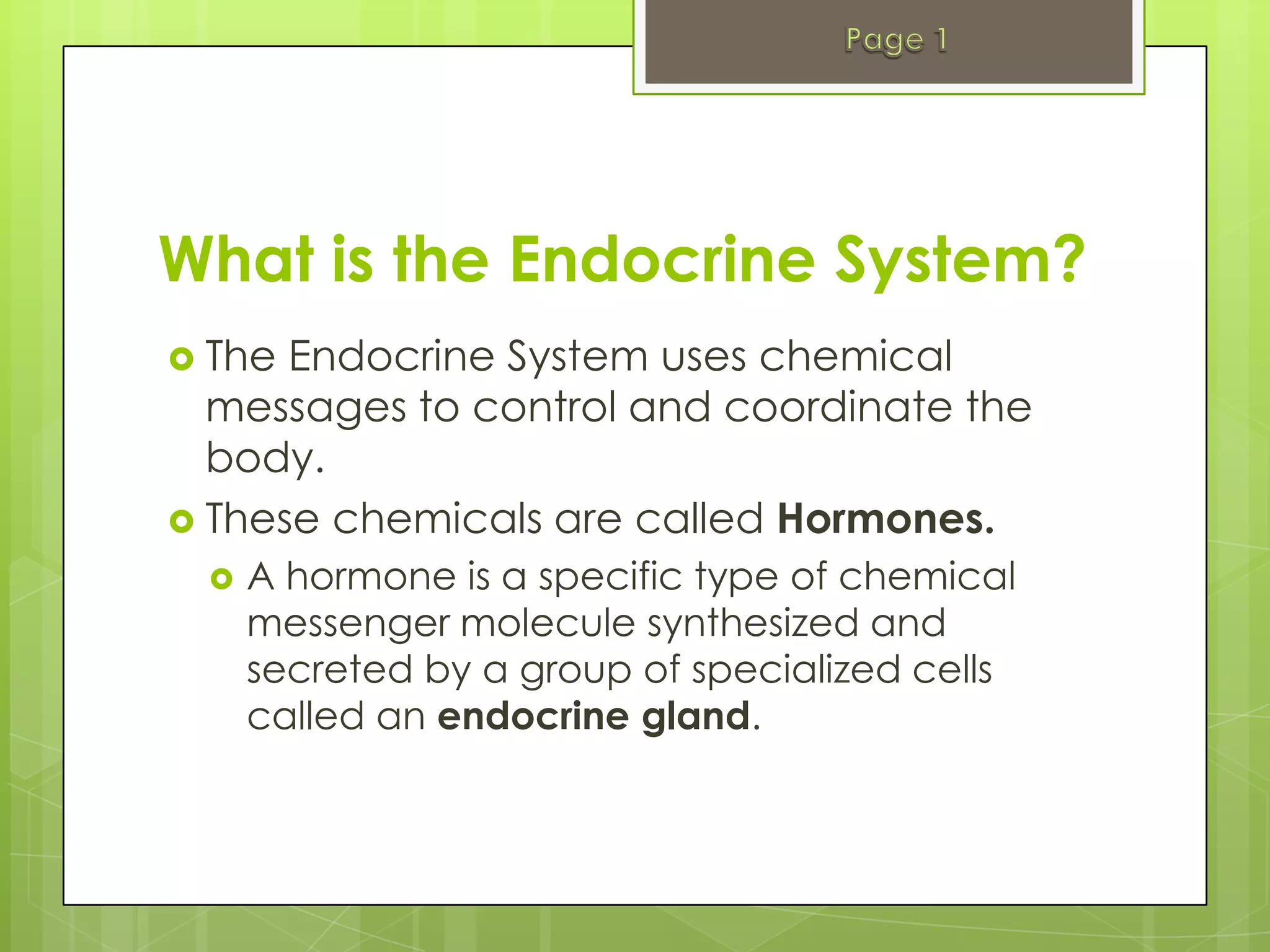 The Endocrine System | PPTX