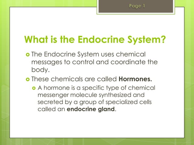 The Endocrine System | PPT