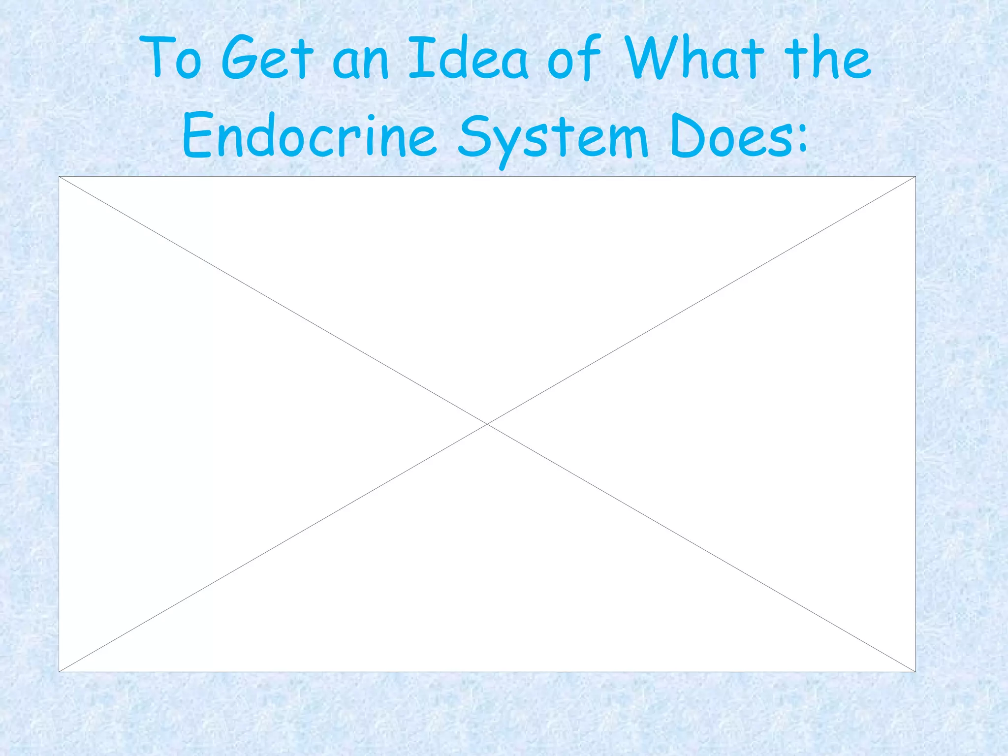 The endocrine system kids version | PPT