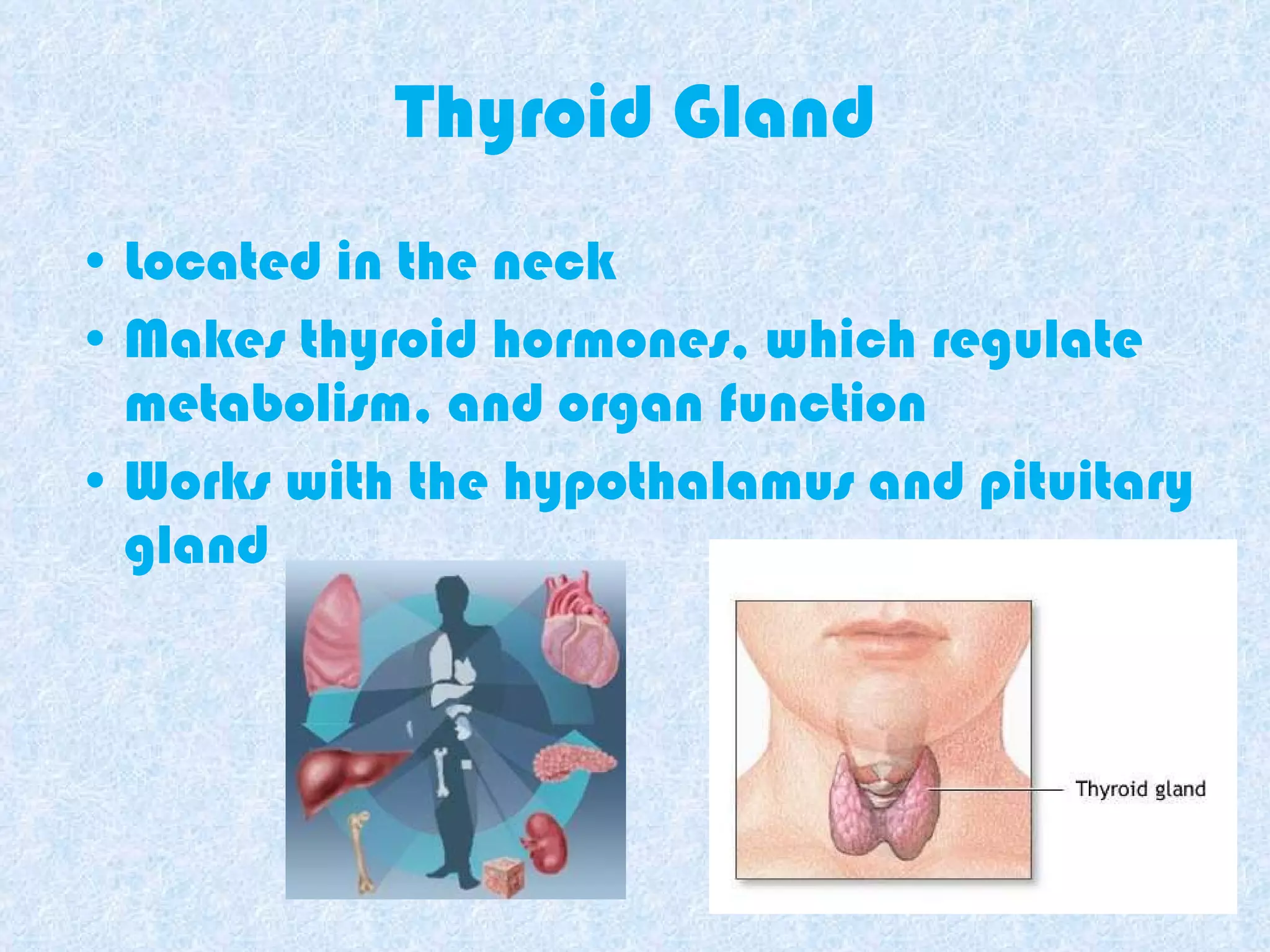 The endocrine system kids version | PPT