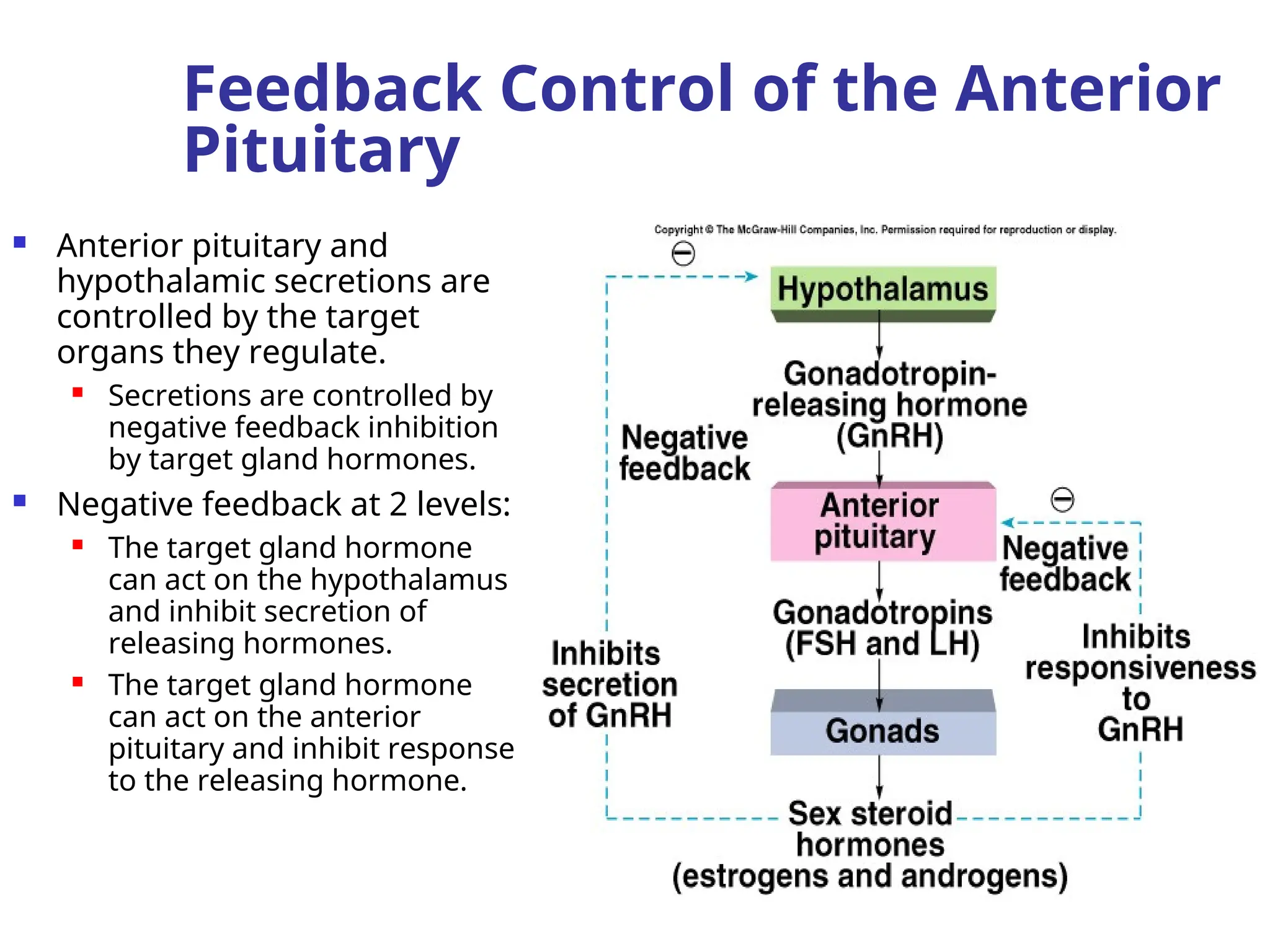 The Endocrine System Lecture Number One. | PPT