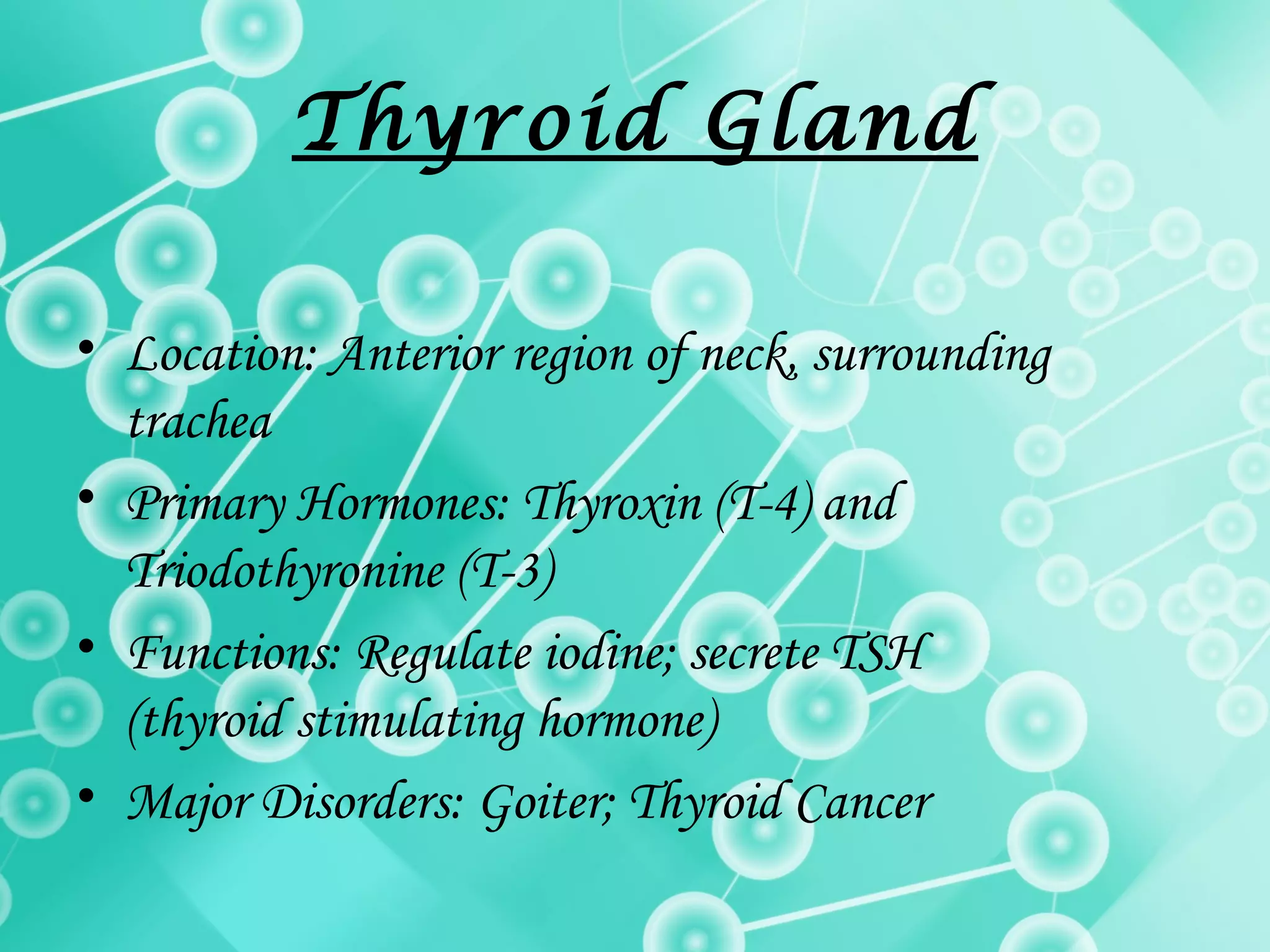 The endocrine system | PPT