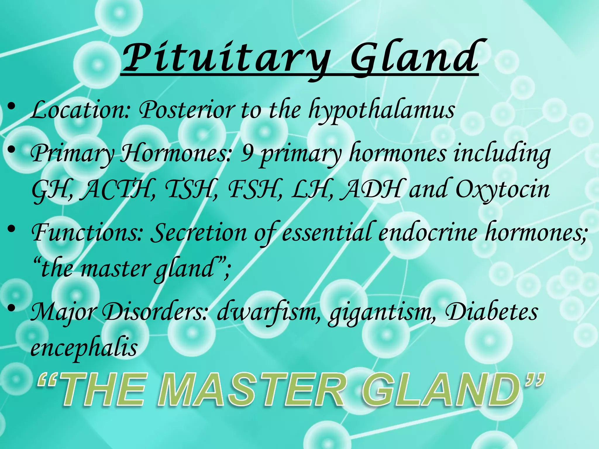 The endocrine system | PPT