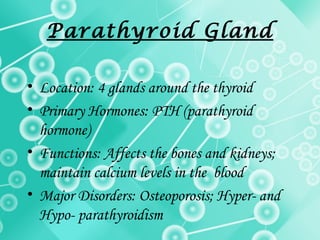 The endocrine system | PPT