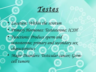 The endocrine system | PPT