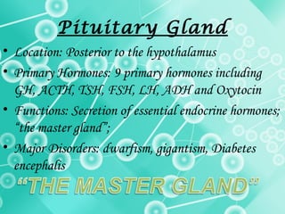 The endocrine system | PPT | Thyroid Disorders | Endocrine and ...