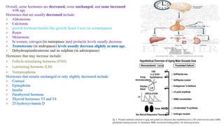 The Endocrinology of Aging.ppt