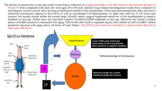 The Endocrinology of Aging.ppt
