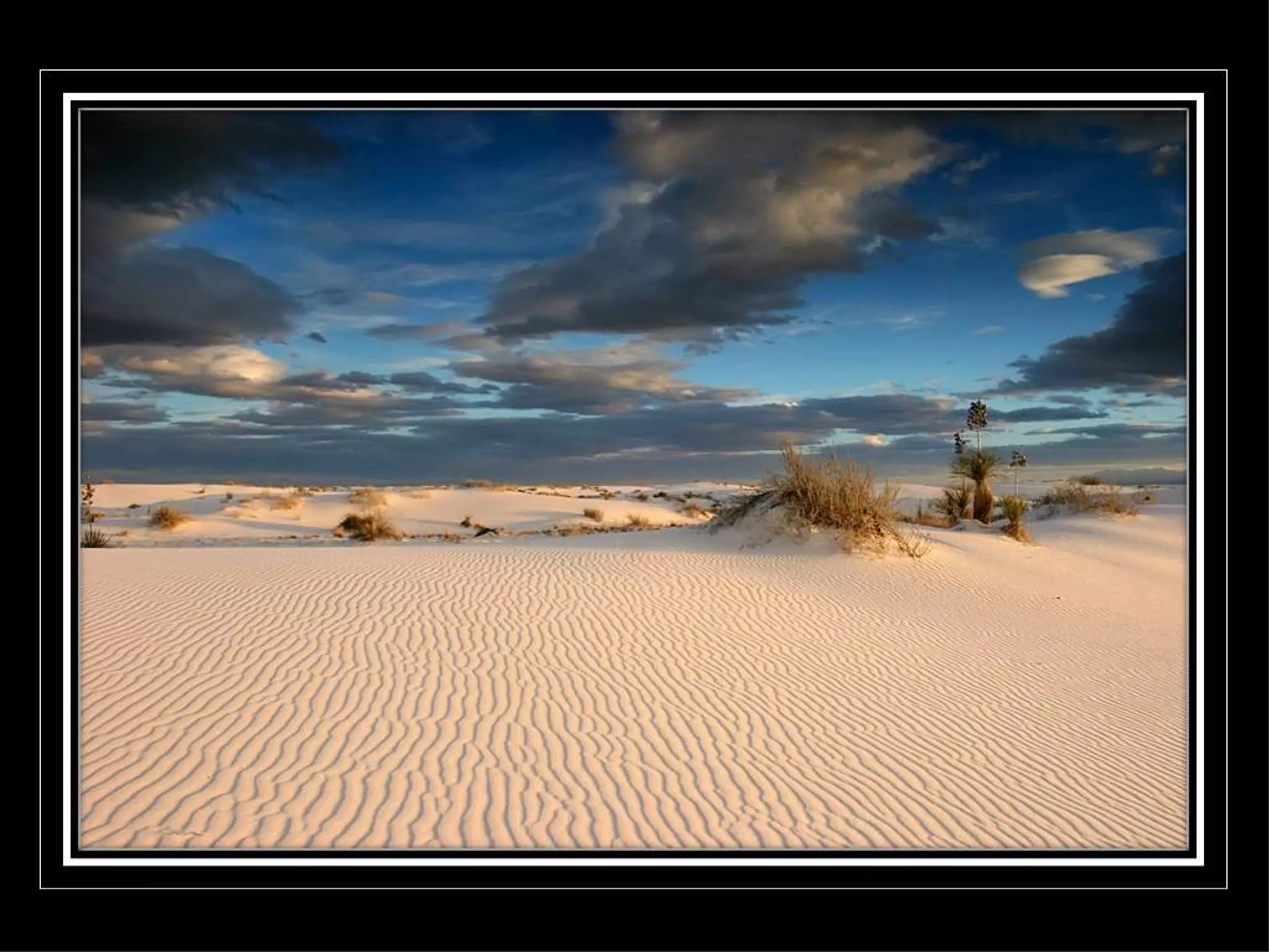 'The End Of August' | PPS